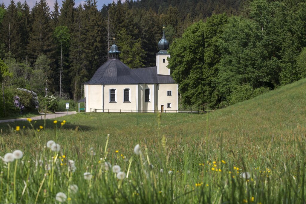 Wandertage: Geführte Wander-Tour „Auf Traumpfaden zum Deininger Kreuzberg“ - Neumarkt TV